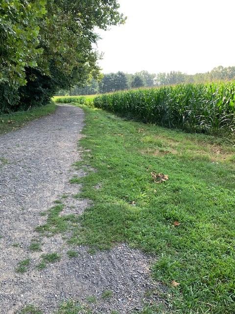 Three Rivers Trail - Connecticut Trail Finder