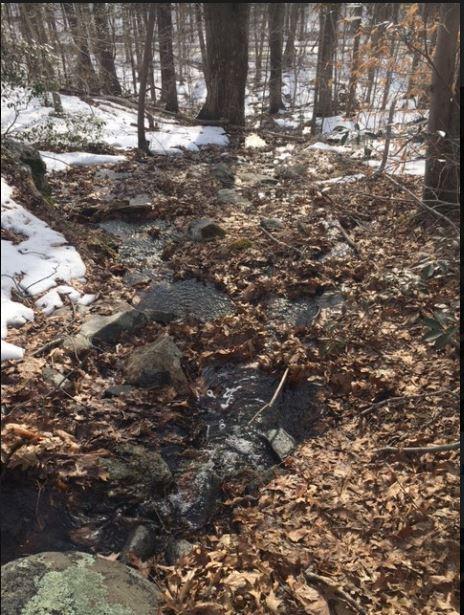 Ballahack Preserve - Connecticut Trail Finder