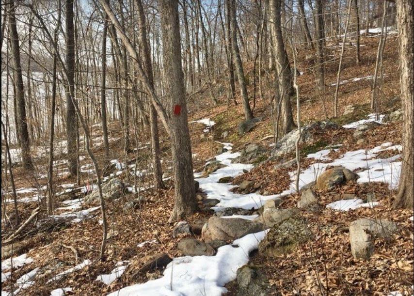 Ballahack Preserve - Connecticut Trail Finder