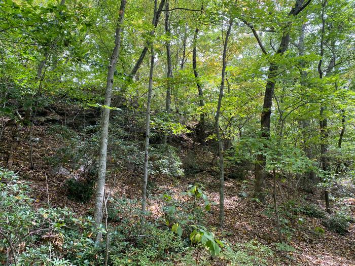 Ballahack Preserve - Connecticut Trail Finder