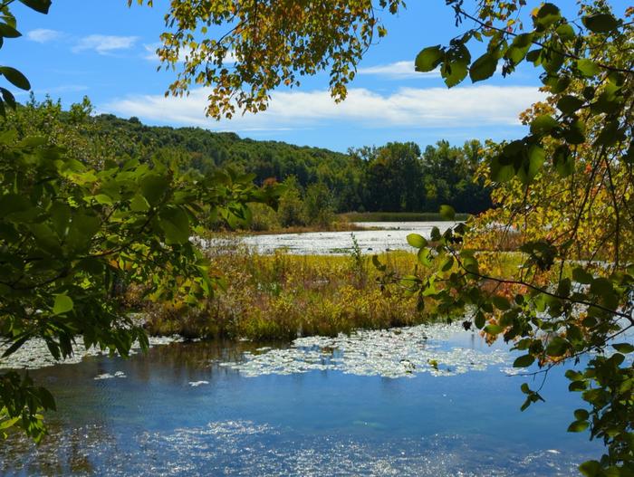 Bolton Notch State Park - Connecticut Trail Finder
