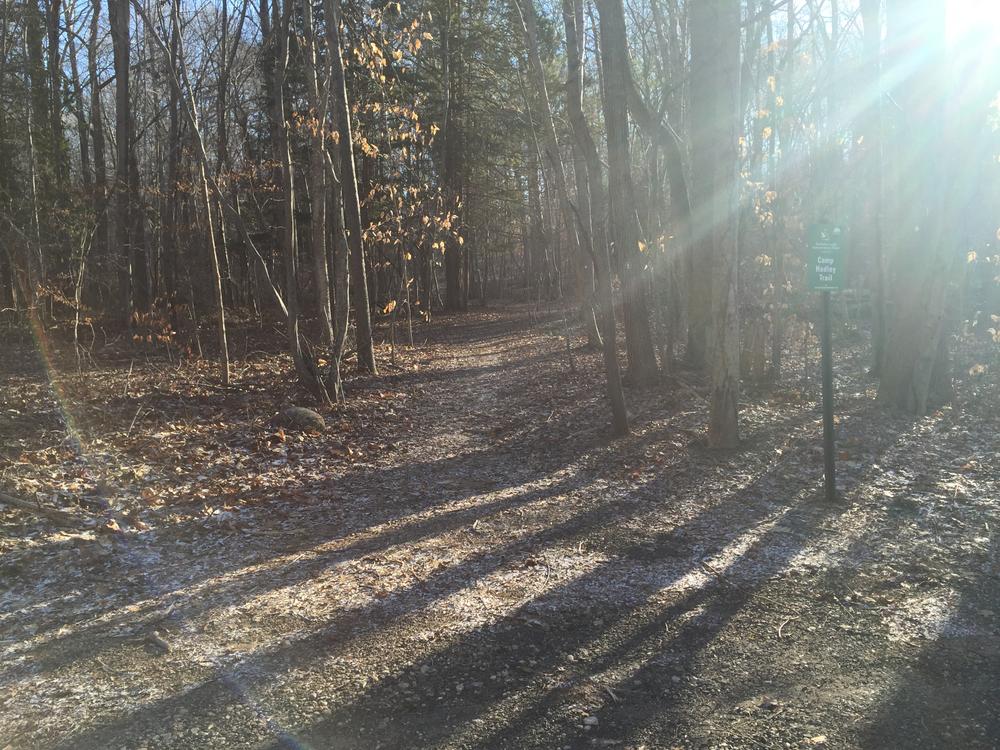 Camp Hadley - Connecticut Trail Finder