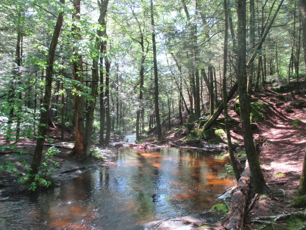 Shenipsit Trail - Connecticut Trail Finder