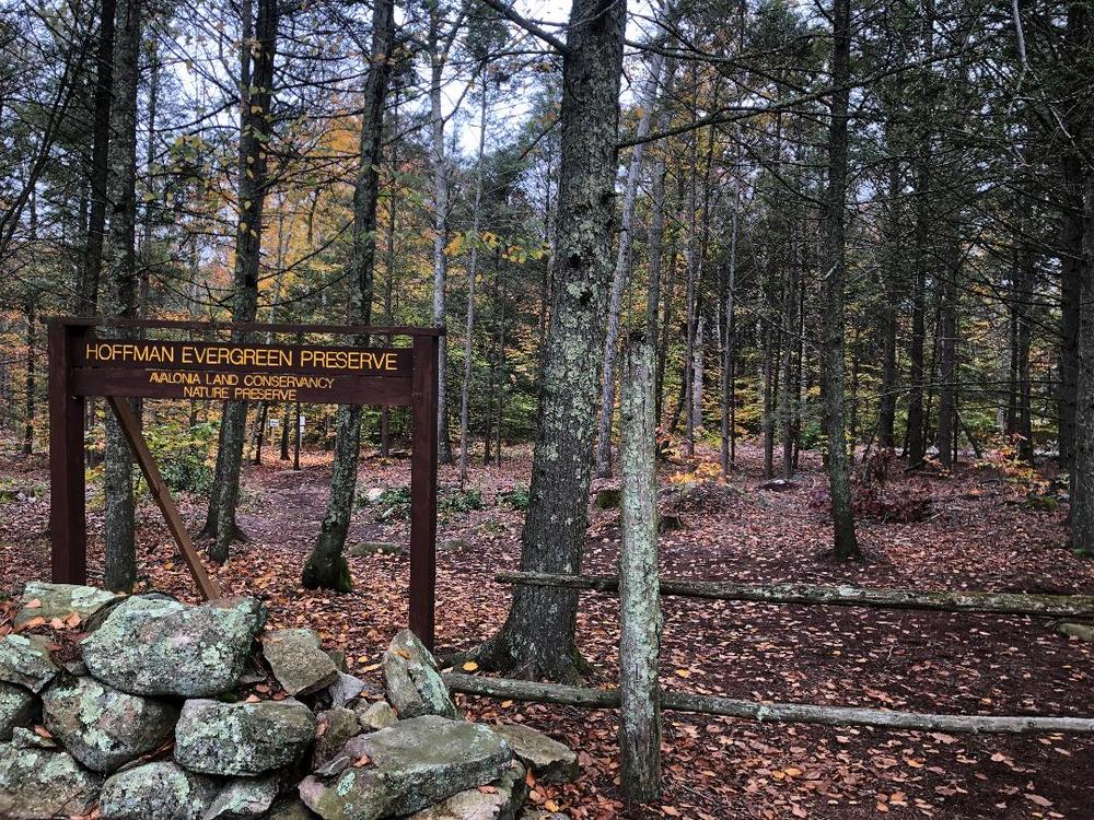 Hoffman Evergreen Preserve - Connecticut Trail Finder