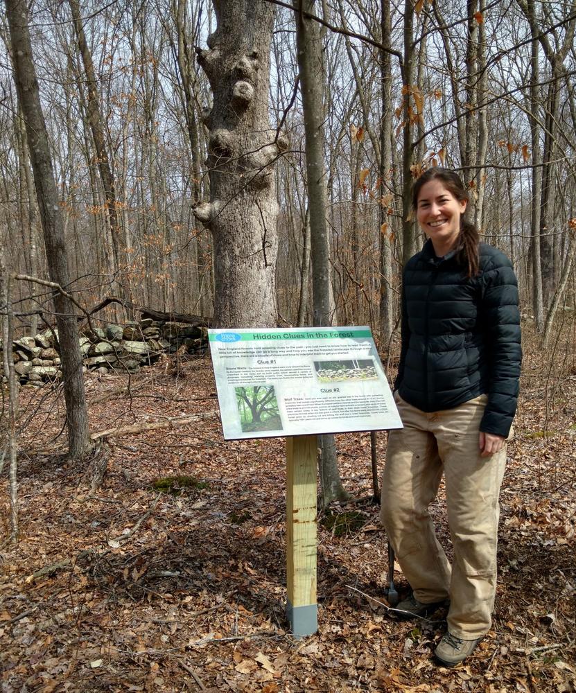 Hibbard Trail - Whitney Forest - Connecticut Trail Finder