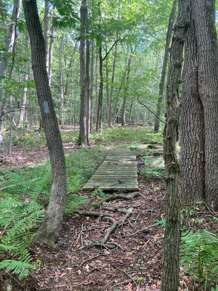 Newton Road Park - Connecticut Trail Finder