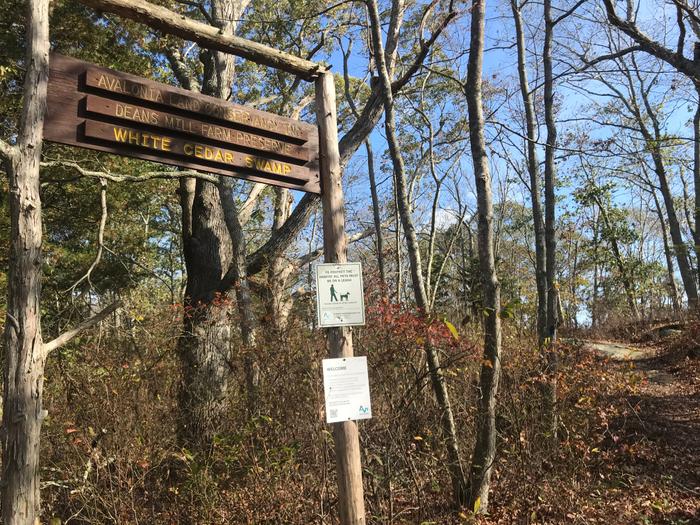 White Cedar Swamp & Deans Mill Farm Preserve - Connecticut Trail Finder