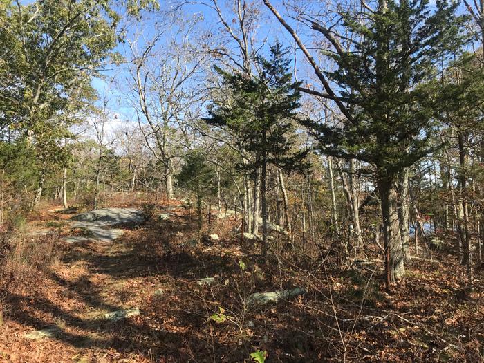 White Cedar Swamp & Deans Mill Farm Preserve - Connecticut Trail Finder