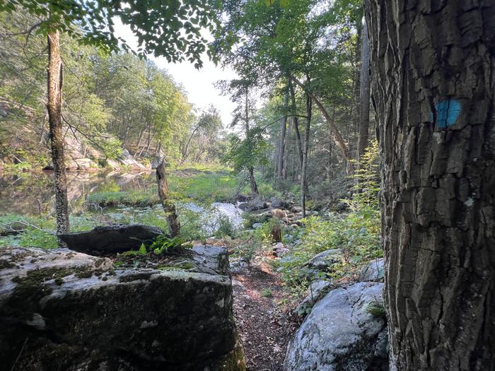 Bailey Trail - Connecticut Trail Finder