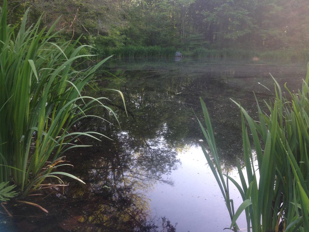 Topsmead State Forest - Connecticut Trail Finder