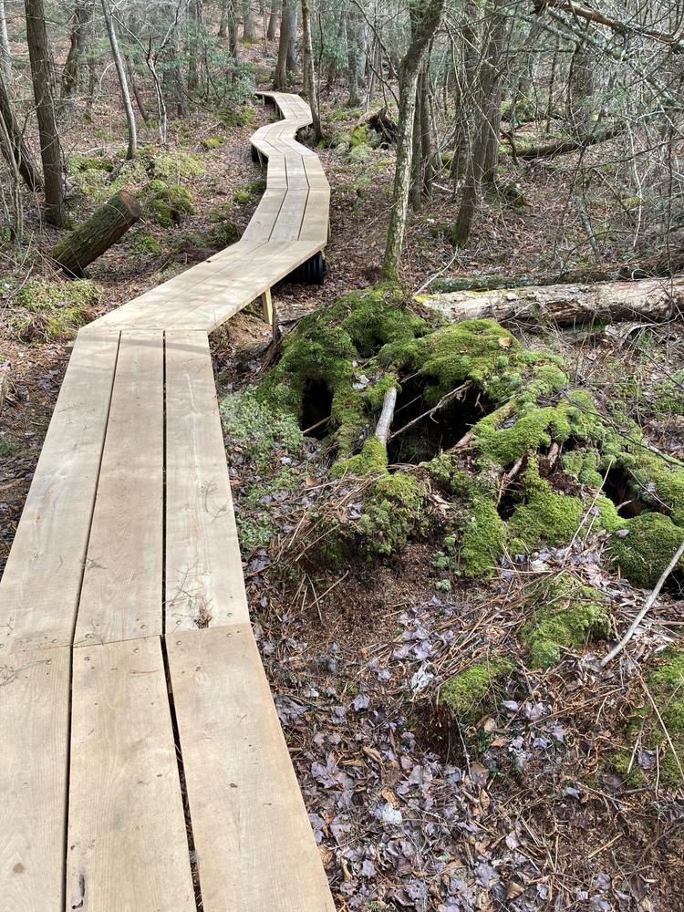 John Brown to Five Points Trail System - Connecticut Trail Finder