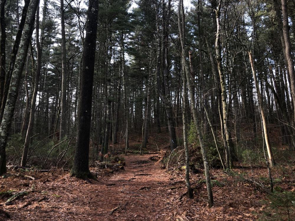 Shenipsit Trail - Connecticut Trail Finder