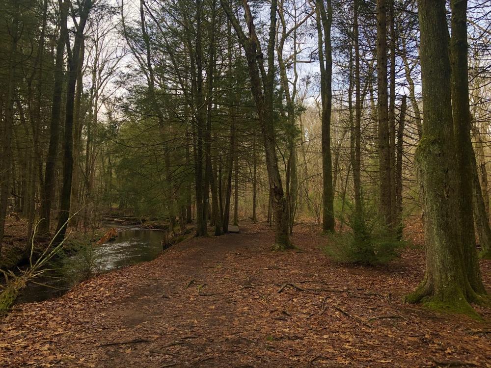 Shenipsit Trail - Connecticut Trail Finder