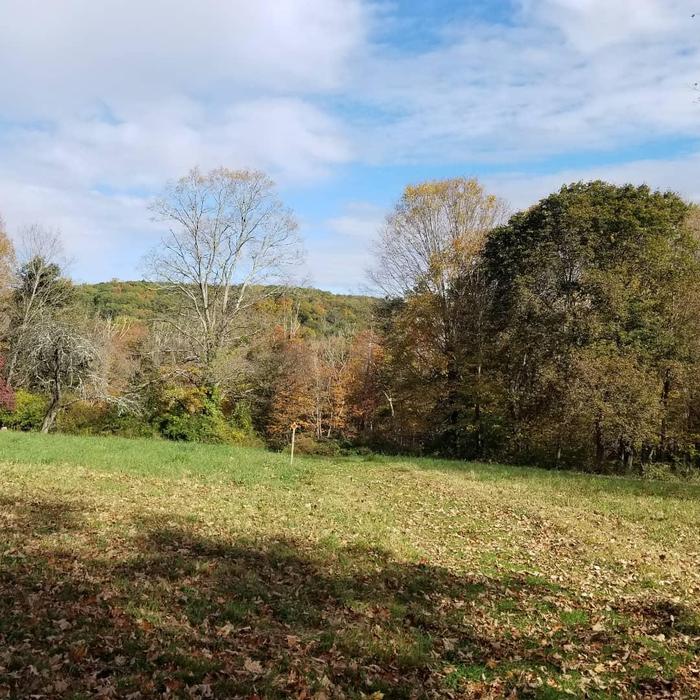 Ives Trail and Greenway - Connecticut Trail Finder