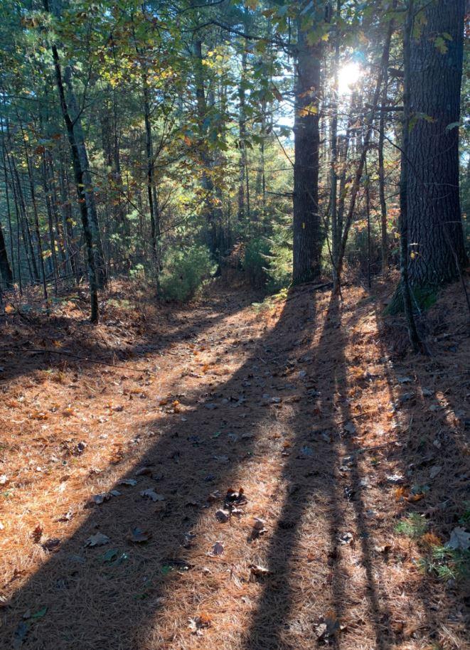 Madeline Regan Preserve - Connecticut Trail Finder