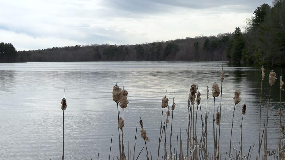 Lake Bethany - Connecticut Trail Finder
