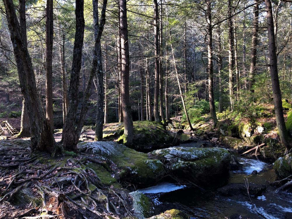 Mattatuck Trail - Connecticut Trail Finder