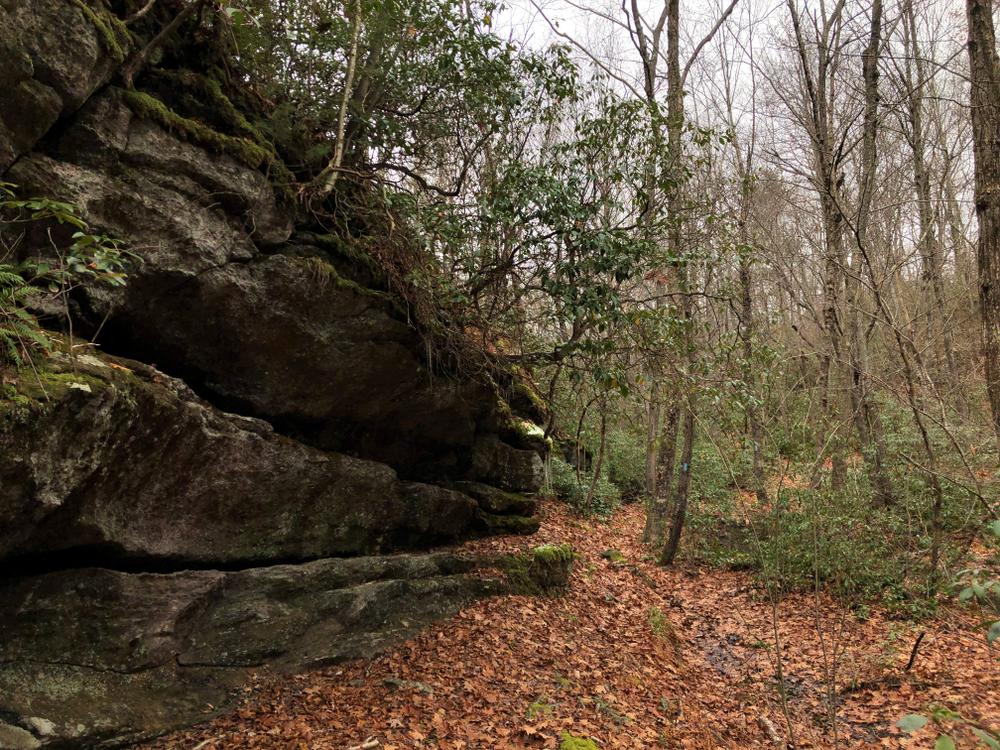 Mattatuck Trail - Connecticut Trail Finder