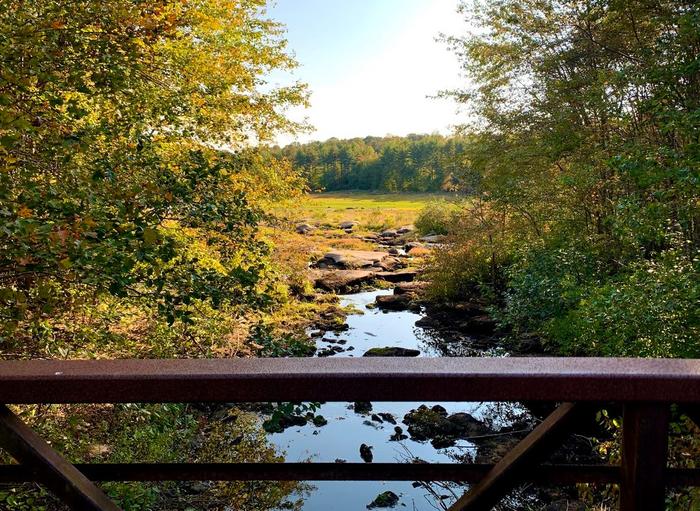 Lake Hammonassett - Connecticut Trail Finder