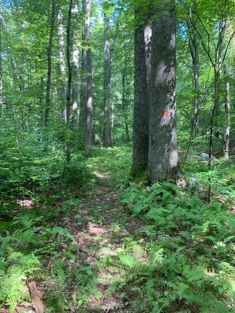 Newton Road Park - Connecticut Trail Finder