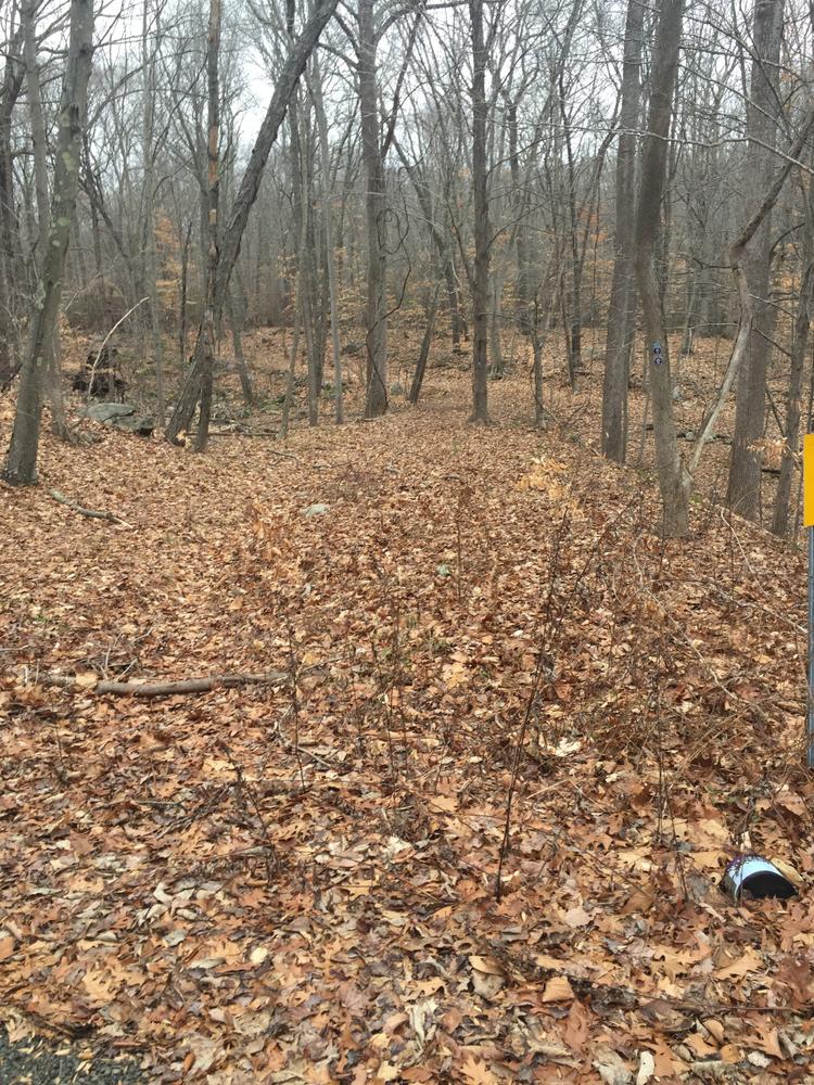 Neck River Uplands North - Connecticut Trail Finder