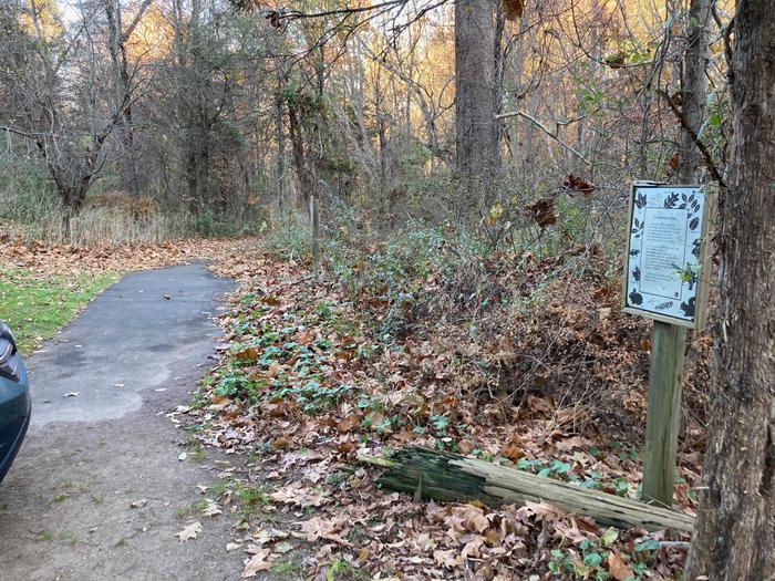Racebrook Tract - Connecticut Trail Finder