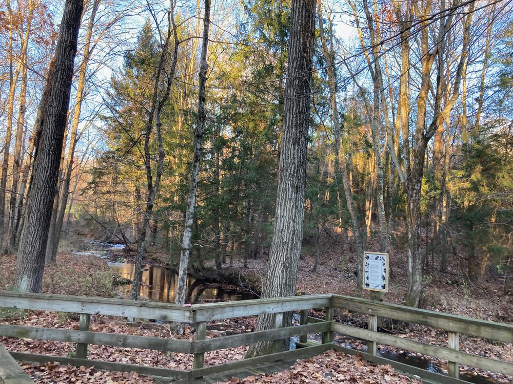 Racebrook Tract - Connecticut Trail Finder