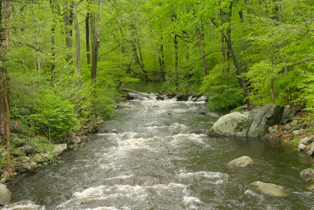 Mianus River Park and State Park - Connecticut Trail Finder