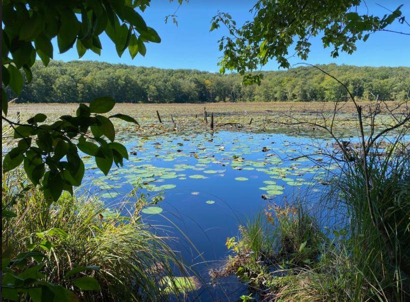 Sheepskin Hollow Preserve - Connecticut Trail Finder
