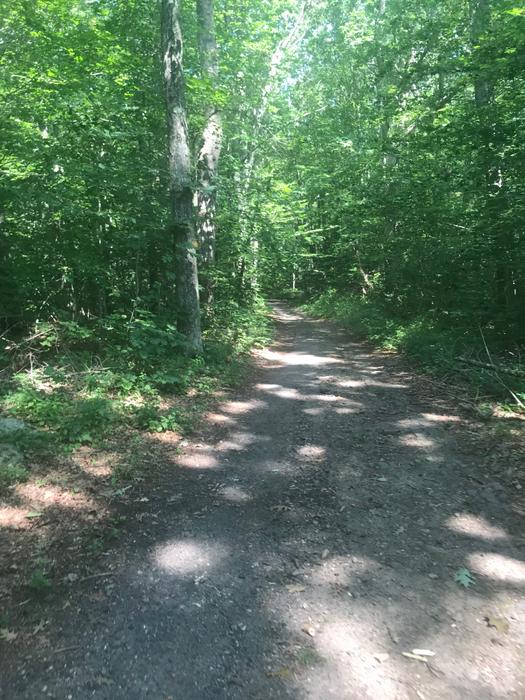 Cockaponset State Forest (Spruce Ledge/Tower Hill) - Connecticut Trail ...