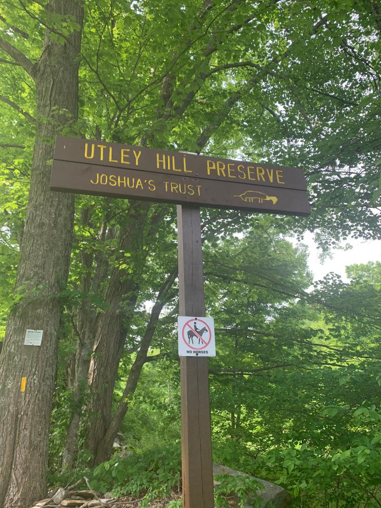 Utley Hill Preserve - Connecticut Trail Finder