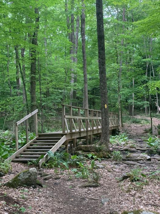 Whetten Woods - Connecticut Trail Finder