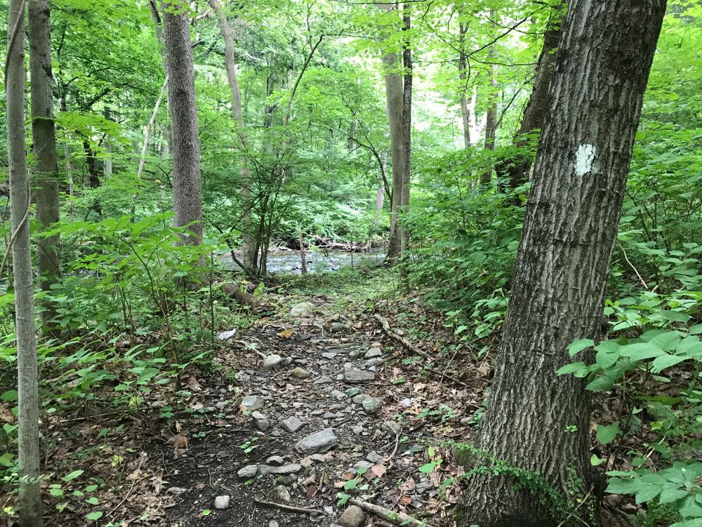 Norwalk Parks and Fields - Connecticut Trail Finder