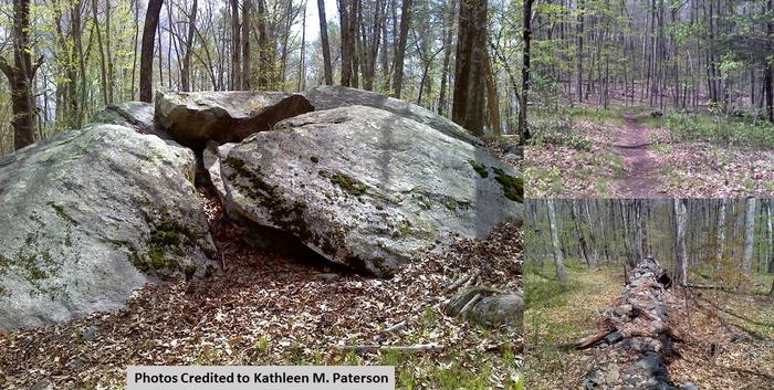 Whetten Woods - Connecticut Trail Finder