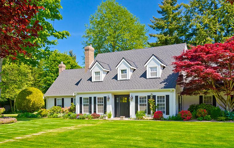 Lenoir City, TN Pest Control | Urbanex