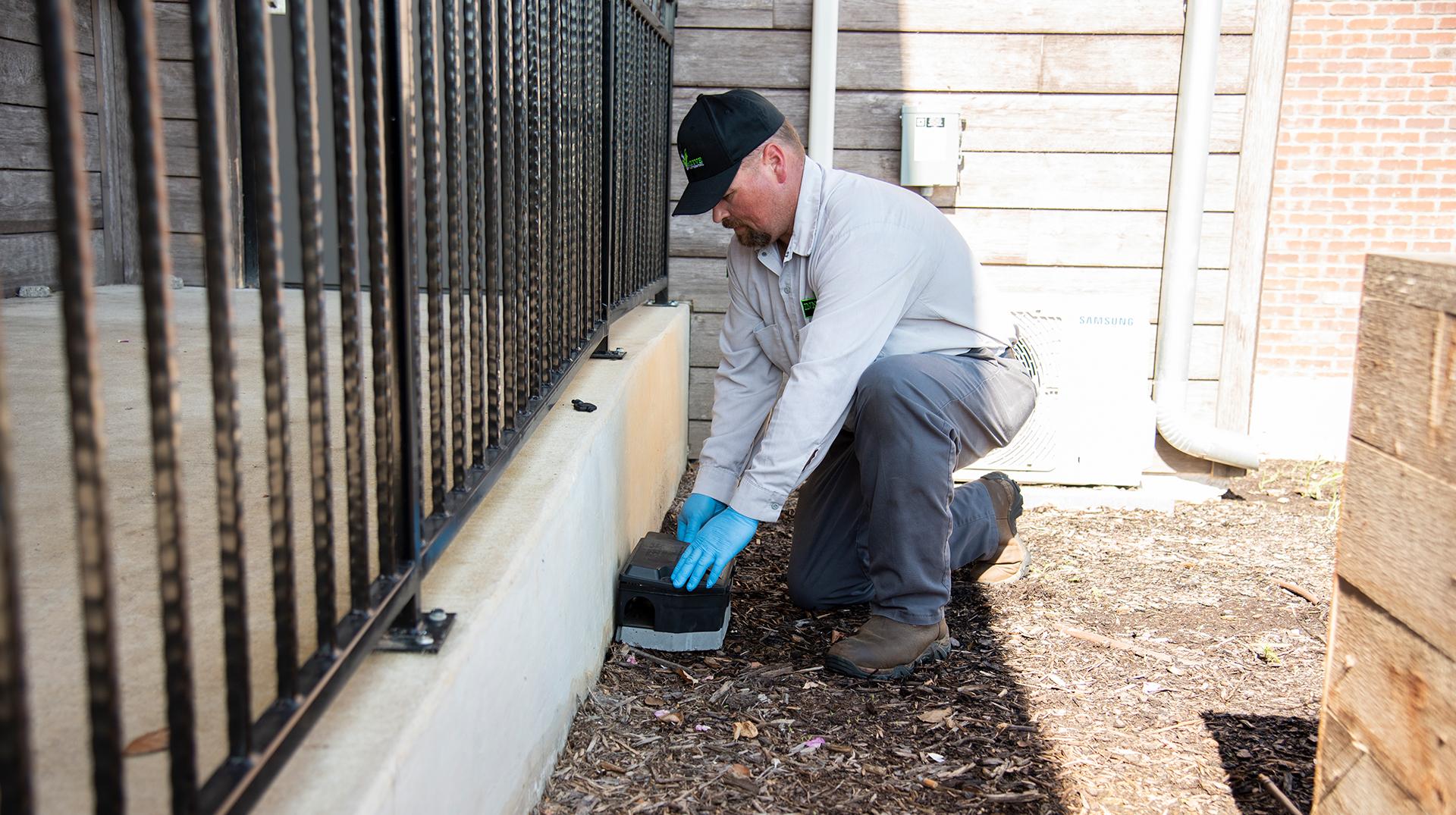 Get Rid Of Mice And Rats In Tyler & Longview, TX