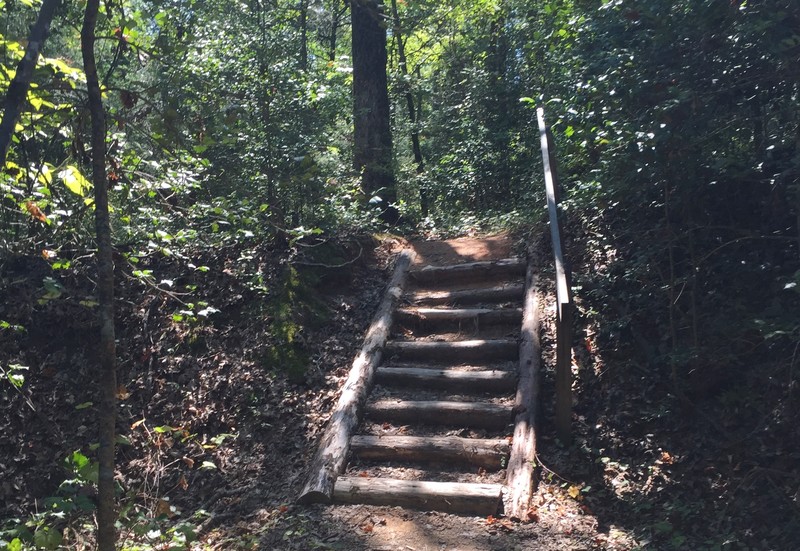 Andrew Jackson State Park Trail