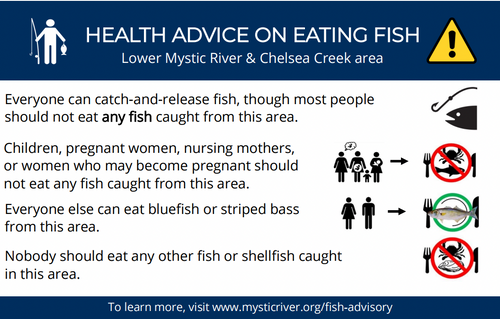 Public Health Division - City of Revere, Massachusetts