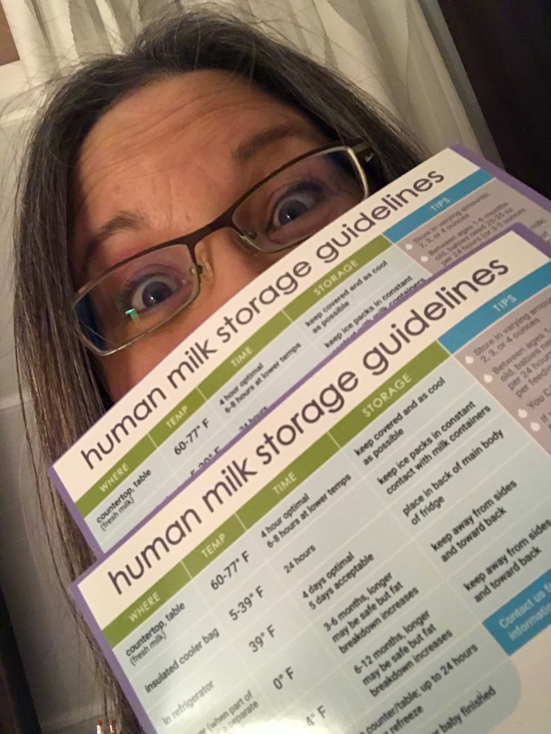 Human Milk Storage Guidelines Fridge Magnet