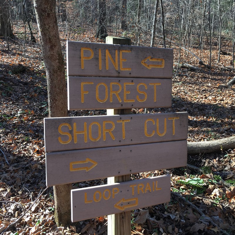 Dan Nicholas Park Trail