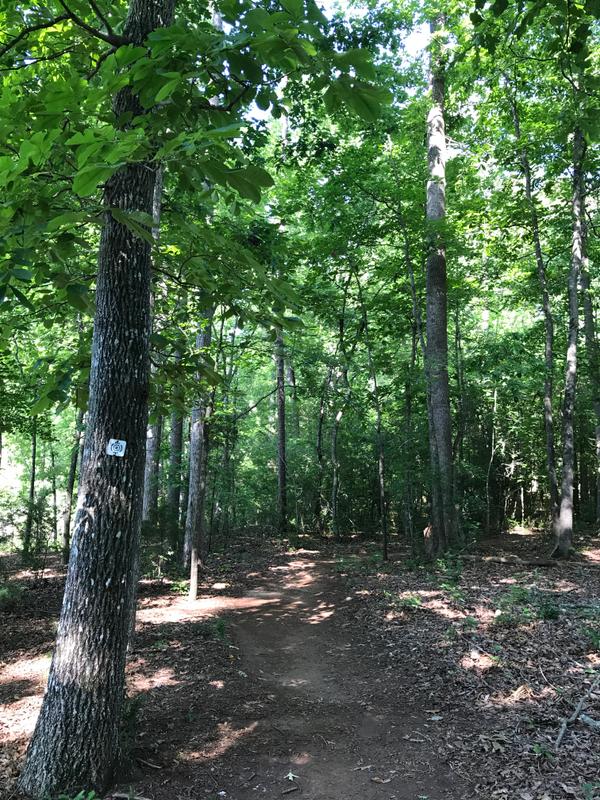 Duke Kimbrell Trail