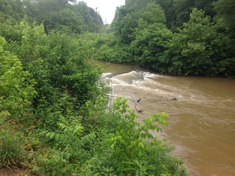 First Broad River Trail