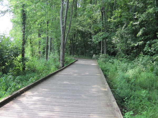 Torrence Creek Greenway