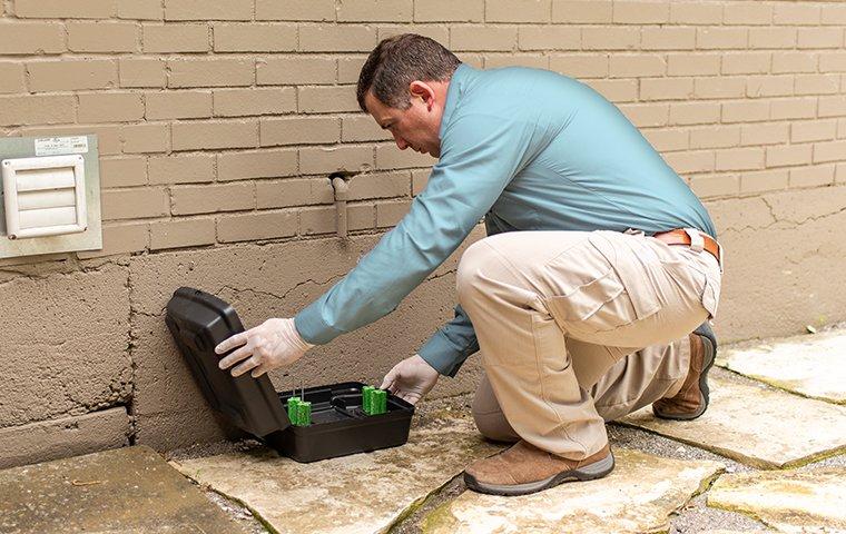 Rodent Control | Solutions From Pestmaster Services Of Chicago, IL