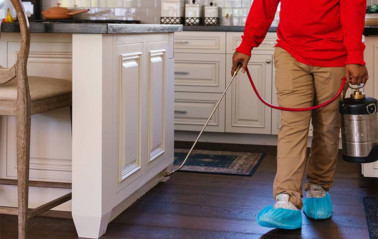 Spider Control In Phoenix, AZ | Overson Pest Control