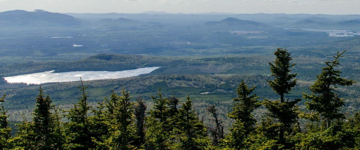 Above the Trees - 5 Maine Fire Tower Hikes