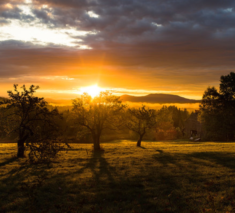 Nick Leadley Nature Photography