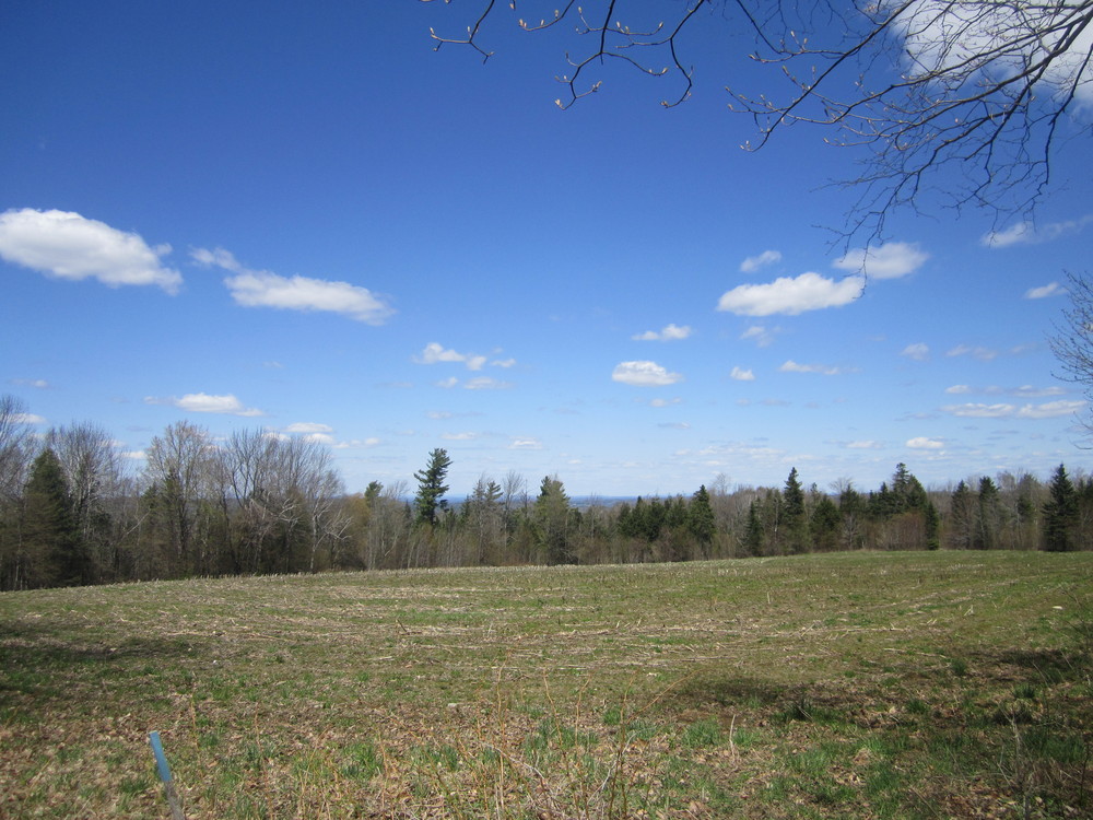 Dave Rock - Maine Trail Finder