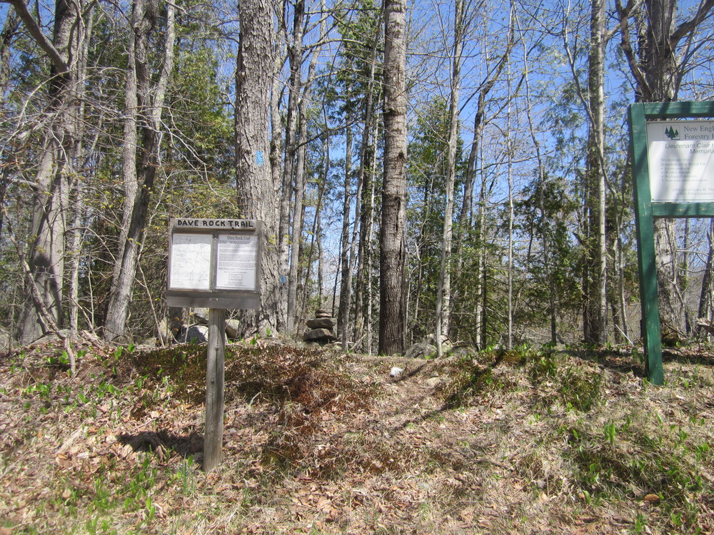 Dave Rock - Maine Trail Finder