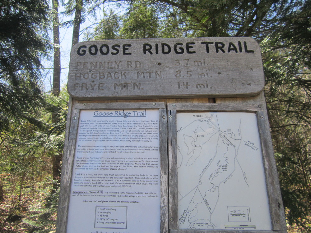Goose Ridge Trail - Maine Trail Finder